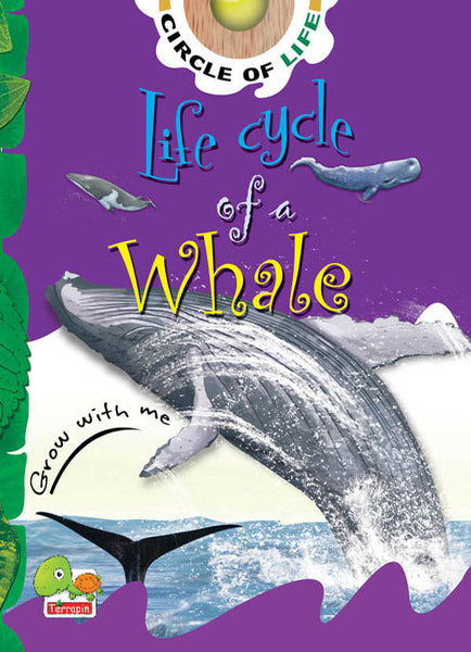 Life Cycle Of A Whale Goyalpublishers